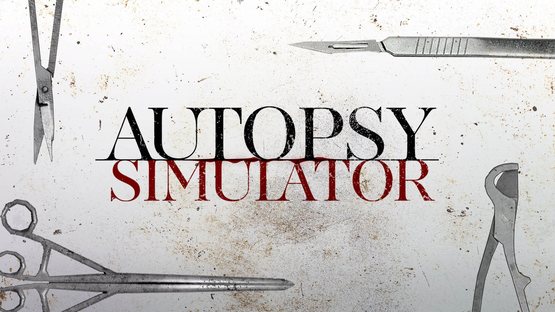 Autopsy Simulator – дата выхода, системные требования, обзор, скриншоты ...